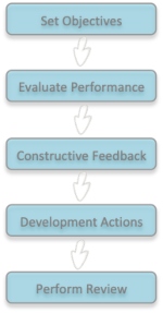 The Complete Performance Review & Objective Setting Toolkit (Free) - BiaBiz